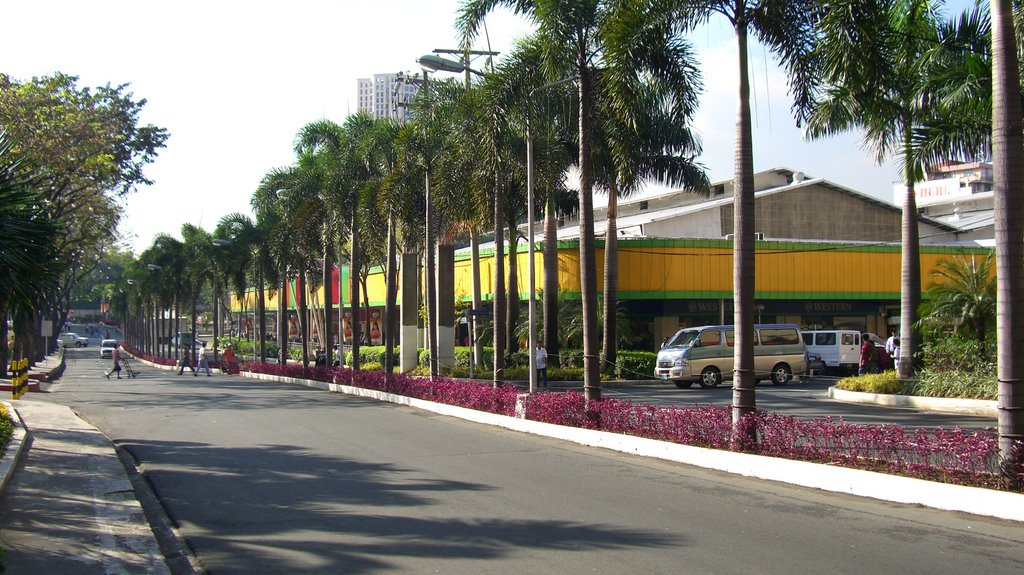 6 CITIES MADE FOR WALKING | Discover MNL