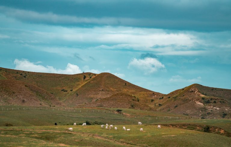 The Islands and Valley of Fun: Discover Cagayan Valley’s non-stop ...