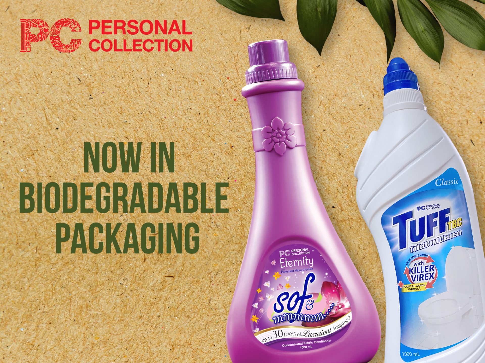 Filipino Company, PCDSI, Shifts To Biodegradable Packaging! | Discover MNL